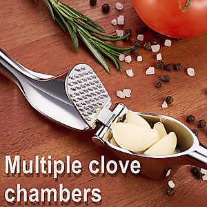Honsen Garlic Press Easy to Squeeze and Clean, Zinc Alloy Garlic Mincer & Crusher with Soft Easy-Squeeze Ergonomic Handle