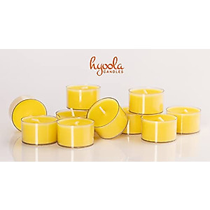 Tealight Citronella Candles Outdoor - 8 Hour Burn Time - Indoor and Outdoor Mosquito, Insect and Bug Repellent Citronella Candle - Natural Fresh Scent – Decorative in Clear Cup - 40 Pack