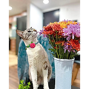 Spring Cat Collar, Floral Kitten Collar Breakaway, Flower Dog Collar for Small Dogs Female
