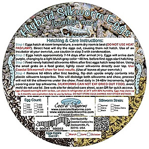 Coastal Silkworms 250 Count Black Tiger Silkworm Eggs Hatch at Room Temp (Pack of 1)