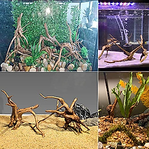 Tfwadmx Aquarium Driftwood Natural Wood Reptile Branch Fish Tank Tree Plant Stump Ornament Decor 4 PCS