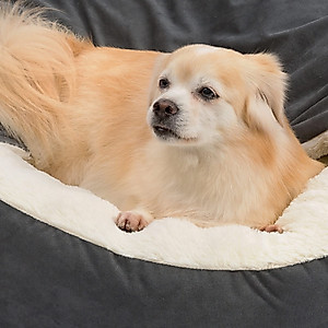 PELZIN Small Dog Bed for Extra Small Dogs Up to 20lbs - Washable Burrow Puppy Beds with Blanket Attached - Covered Dog Cave Bed with Anti-Slip Bottom - Charcoal Gray, 24"