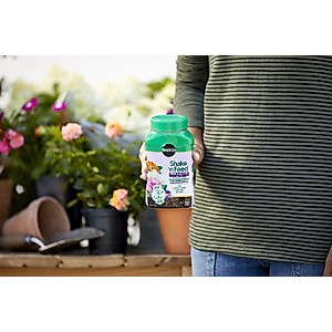 Miracle-Gro Shake 'n Feed Rose and Bloom Plant Food - Promotes More Blooms and Spectacular Colors (vs. Unfed Plants), Feeds Roses and Flowering Plants for up to 3 Months, 1 lb.