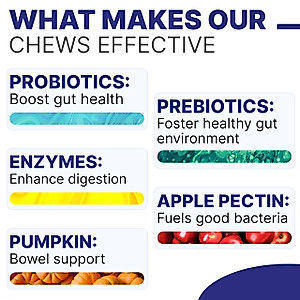 Pawsential Advanced Dog Probiotics & Digestive Enzymes |Gut Health| Chews for Digestion, Allergy Yeast, Itchy Skin- Prebiotics Fiber Supplement - Diarrhea Gas Upset Stomach Relief Treats - 120 Chews