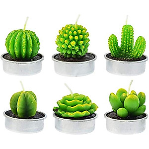 12 Pieces Cactus Tealight Candles Handmade Delicate Succulent Cactus Candles for Party Wedding Spa Home Decoration Gifts