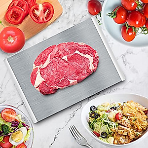 starchain Kitchen Frozen Meat Defrost Tray - Thermally Conductive Aluminum Defrost Plate - Large Defrost Defrost Tray for Frozen Fish, Frozen Beef, Frozen Chicken