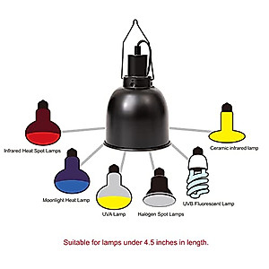 Reptile Lamp Fixture 5.5 Inches Deep Dome Lamp Cap, Optical Reflection Cover for Reptile Glass Terrariums