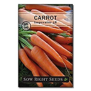 Sow Right Seeds - Imperator 58 Carrot Seed for Planting - Non-GMO Heirloom Packet with Instructions to Plant a Home Vegetable Garden - Indoors or Outdoors - Long Variety, Super Sweet (1)