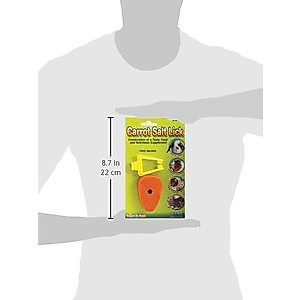 Ware Manufacturing Carrot Salt Lick Small Pet Chew with Holder