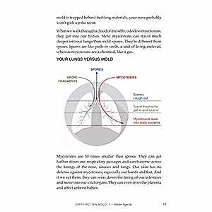 Break the Mold: 5 Tools to Conquer Mold and Take Back Your Health