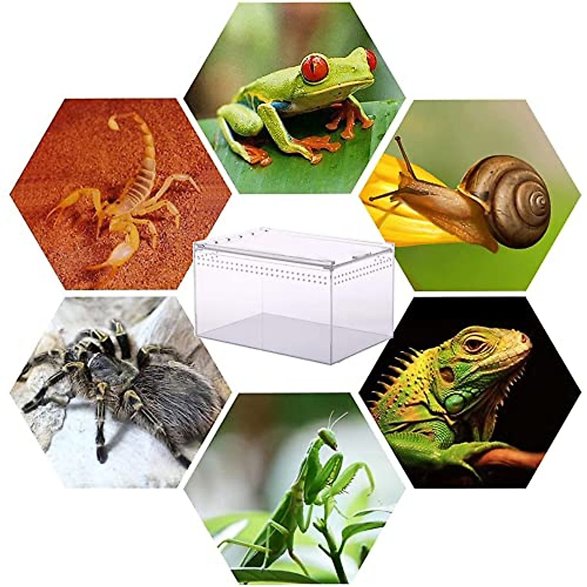 Magnetic Acrylic Reptile terrariums Transparent Enclosure Feeding Supplies Reptile Box,Amphibians pet breeding Vivarium Tank for Turtle,Spiders,Frogs,Geckos,Mantis,Snakes,Scorpions,etc (Large)