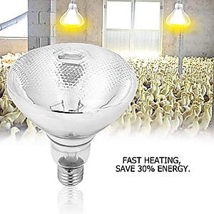 Eboxer Livestock Heat Lamp, 175W Sunlight Lamp Heating Light Bulb for Reptile Snake Piglet, etc (175W)