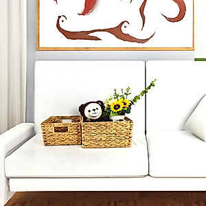 Wicker Baskets, Storage Baskets, Hand-Woven Wicker Baskets with Handles for Home Use, One Large and One Small Water Hyacinth Storage Baskets 7x12x12 Inches (2PCS)