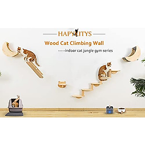 Cat Shelf for Wall Hammock Climbing Shelves and Perches Solid Wood Cat Steps for Activity Indoor Cats Wall Furniture 3pcs/Set