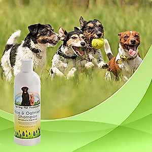 Spring Pet Aloe and Oatmeal Shampoo for Dogs and Cats ~ 16 Oz Veterinarians Choice Hypoallergenic Formula Blend of Coat and Skin Conditioners and Moisturizers Made in USA
