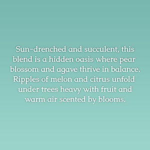 Caldrea Hand Wash Soap, Aloe Vera Gel, Olive Oil And Essential Oils To Cleanse And Condition, Pear Blossom Agave Scent, 10.8 Oz (Pack of 2)