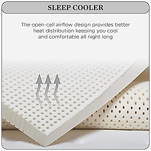 PlushBeds 3" Medium-Firm Topper| 100% Natural Talalay Latex| Made in The USA| Luxurious Comfort | Soothing Pressure Point Relief | Support for Shoulders, Hips, Back, and Knees|Twin