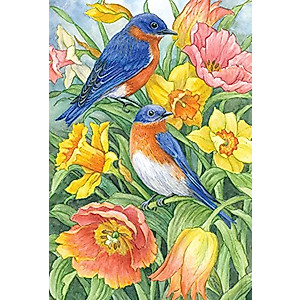 Toland Home Garden 119968 Eastern Bluebirds Spring Flag 12x18 Inch Double Sided Spring Garden Flag for Outdoor House Bird Flag Yard Decoration