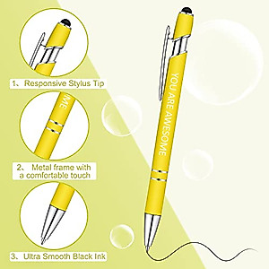 Snarky Office Pens Funny Insulting Pens Christian Ballpoint Pens Inspirational Quotes Negative Quotes Motivational Macaron Touch Stylus Pens for Office, Black Ink (10 Pieces)