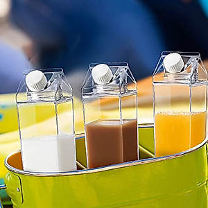 Clear Milk Carton Water Bottles, 17Oz Leakproof Cute Square Milk Box Portable Juice Bottle for Outdoor Sports Travel Camping School Activities (10)