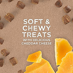 Cloud Star Tricky Trainers Soft & Chewy Dog Training Treats 5 oz Pouch, Cheddar Flavor, Low Calorie Behavior Aid with 130 treats