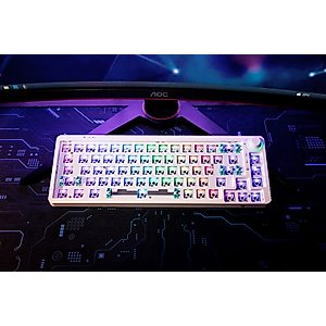 GK GAMAKAY LK67 65% RGB Modular DIY Mechanical Keyboard, 67 Keys Hot Swappable 3pin/5pin Switch, Programmable Triple Mode Bluetooth 5.0/USB-C Wired/2.4GHz Wireless Customized Keyboard Kit (White)