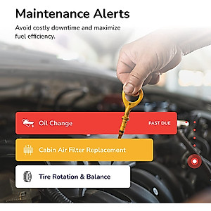 Kayo Business Fleet, GPS Tracker for Vehicles, 4G LTE & 5G, Real-Time GPS Tracking, 14-Day Free Trial, Simple Activation, Simple Plug-in Car GPS Tracker (Pack of 4)