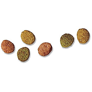 Purina Cat Chow Indoor Dry Cat Food, Hairball + Healthy Weight - 6.3 lb. Bag