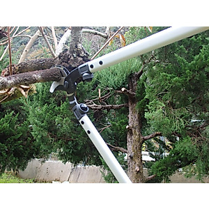 ARS LPB-30L Branch Lopper