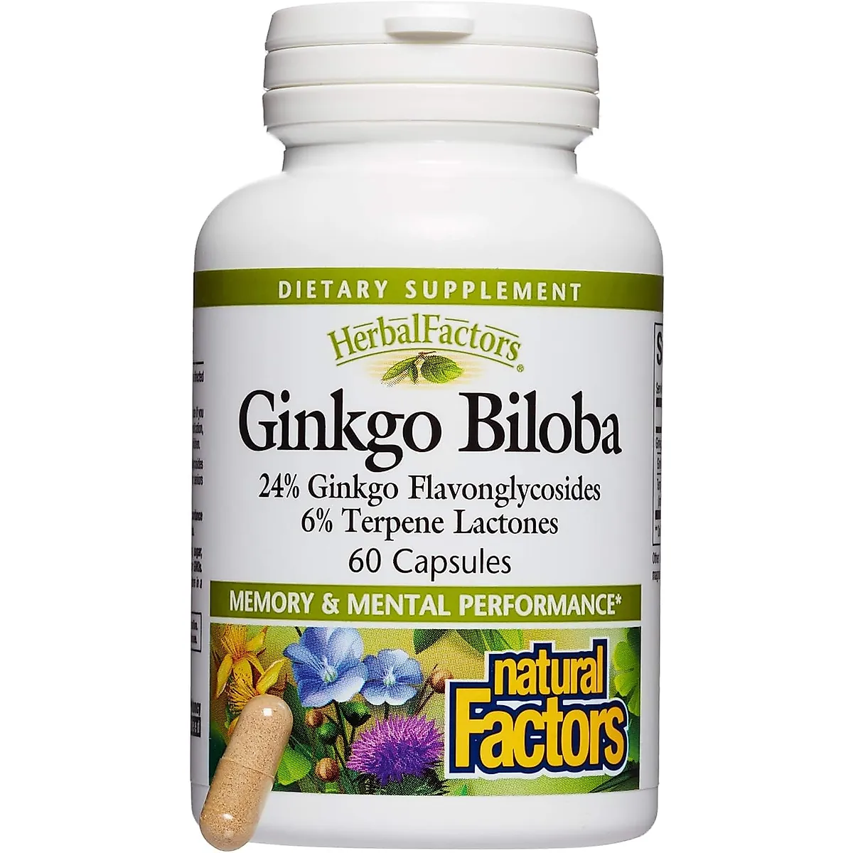 HerbalFactors by Natural Factors, Ginkgo Biloba, Supports Memory, Mental Performance and Healthy Brain Function, 60 capsules (60 servings)
