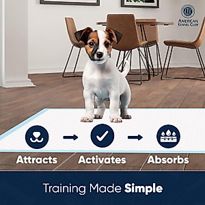 American Kennel Club Scented Puppy Training Pads with Ultra Absorbent Quick Dry Gel – 22 x 22 Puppy Pads - Fresh Scented - Pack of 50