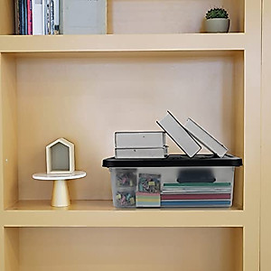 Teyyvn 14 L Clear Storage Box, 2-Pack Plastic Storage Bin with Black Lid