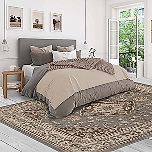 Superior Elegant Glendale Collection Area Rug, 8mm Pile Height with Jute Backing, Traditional Oriental Rug Design, Anti-Static, Water-Repellent Rugs - Grey, 8' x 10' Rug