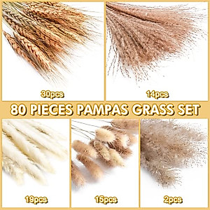 Natural Dried Pampas Grass Decor: 80 Pcs 17" Small Fluffy White Pampas Stems & Beige Reed Grass & Dry Wheat Bundle & Bunny Tail Grass Pampas Bouquet