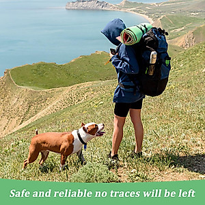 Tick Remover Tool Portable with Tick Removal Tweezers Suitable for Pet and Humans, Safe and Reliable, Quick Highly Effective, Pain-Free, Essential Tick Remover Key Tools for Outdoor Activities-3 Pack