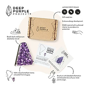 DEEP PURPLE PROJECT Amethyst Crystal Geode Spiritual Healing Rocks Cluster Quartz Stone (250 grams or less, Amethyst Purple)