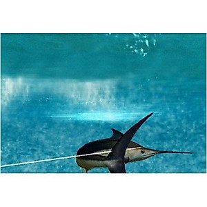 Reel Fishing: Angler's Dream - Nintendo Wii