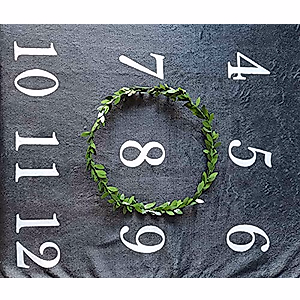 Popfavors Yuzioey Woodland Baby Monthly Milestone, Woodland Greenery Baby Growth Chart Monthly Blanket, Watch Me Grow Baby Forest Nursery Gift for New Moms Baby Shower, Includes Marker (Black, 50x40)