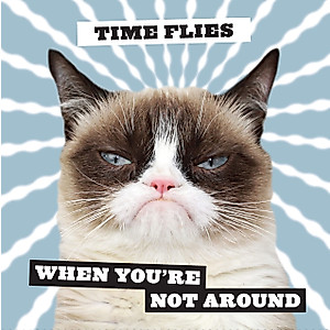 Grumpy Cat 2023 Wall Calendar