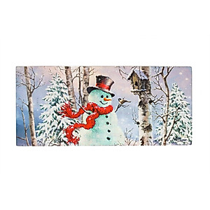 Evergreen Sassafras Bundle - Set of 5 All Seasons Interchangeable Entrance Doormats | Indoor and Outdoor |22-in x 10-in doormats and 30-in x 18-in Tray | Non-Slip Backing | Low Profile | Home Décor