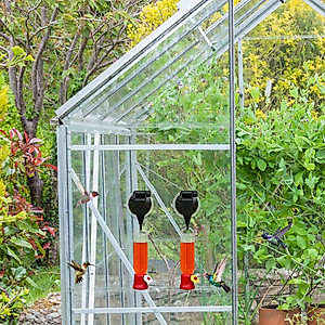 ORIENTOOLS Hummingbird Feeder with Window Hanger- 2pcs Window Bird Feeder, 2.2 oz/Pc Mini Hanging Flower Bird Feeders for Suction Cup