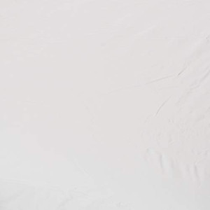 Fresh Ideas Waterproof Mattress Protector 100% Vinyl Hypoallergenic, California King