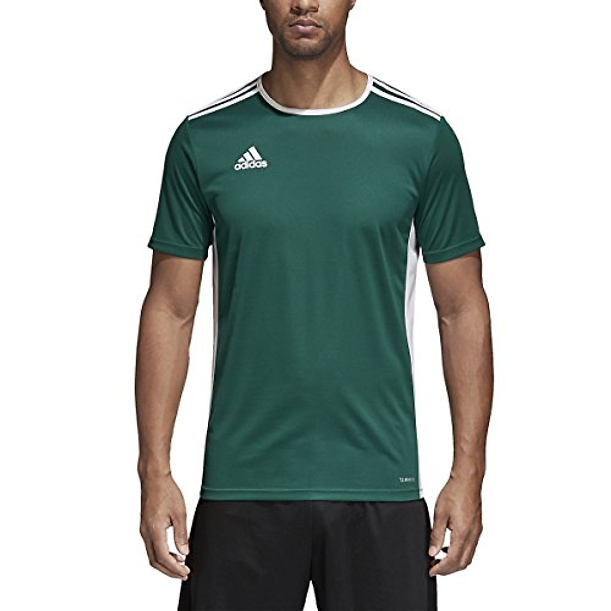 adidas Men's Entrada 18 Jersey, Collegiate Green, Large