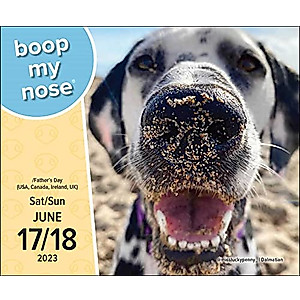 The Daily Boop 2023 Day-to-Day Calendar: By Boop My Nose