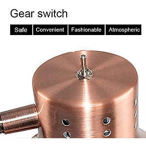 Food Heating Warmer Lamp Food Heating Lamp Desktop, Restaurant Kitchen Buffet Warmer Table (Color : Red Copper, Size : Double Head)