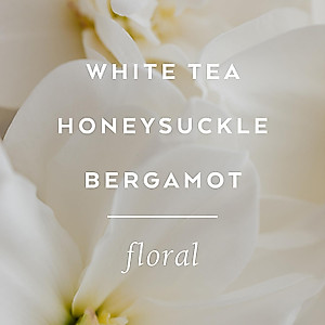 LOLLIA Dream Eau de Parfum, 3.4 fl. oz. - White Tea & Honeysuckle – Beautifully Captivating Perfume, Women’s Perfume, Eau de Parfum Spray for Women, Women’s Fragrance