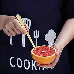 Gold Grapefruit Spoons 5 Pieces Set, 4 Stainless Steel Grapefruit Spoon And 1 Grapefruit knife With Titanium Plating, Grapefruit Utensil Set, Serrated Edges Spoon pack of 5 (Gold)