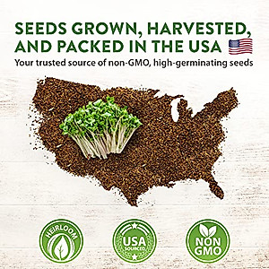 Broccoli Seeds for Sprouting or Microgreens - High Germination Sprout Seeds | Heirloom & Non-GMO | Nutritious Micro Greens Seeds - Broccoli Sprouts in 5 Days - Sulforaphane Rich