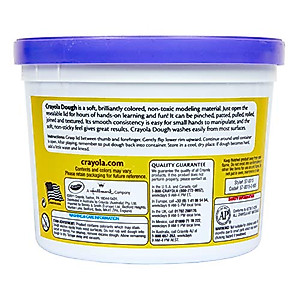 Crayola Dough - Purple (3lb), Bulk Modeling Dough for Kids, Clay Alternative, Resealable Tub, Ages 3+, Great for Kids Arts & Crafts