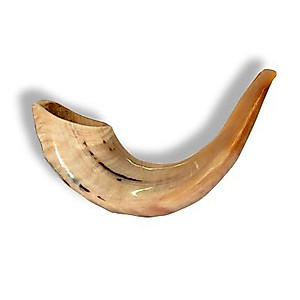Jerusalem Shofar Kosher Rams Horn Instrument Natural Shoffar Shophar schofar Judaica Gift Rosh hashanah Jewish